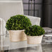 Azalea Preserved Boxwood Oval Domes, Set of 2 – ObjectsHQ